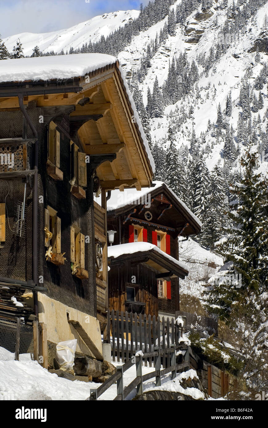 small Swiss wooden mountain houses in the village of Langwies in ...