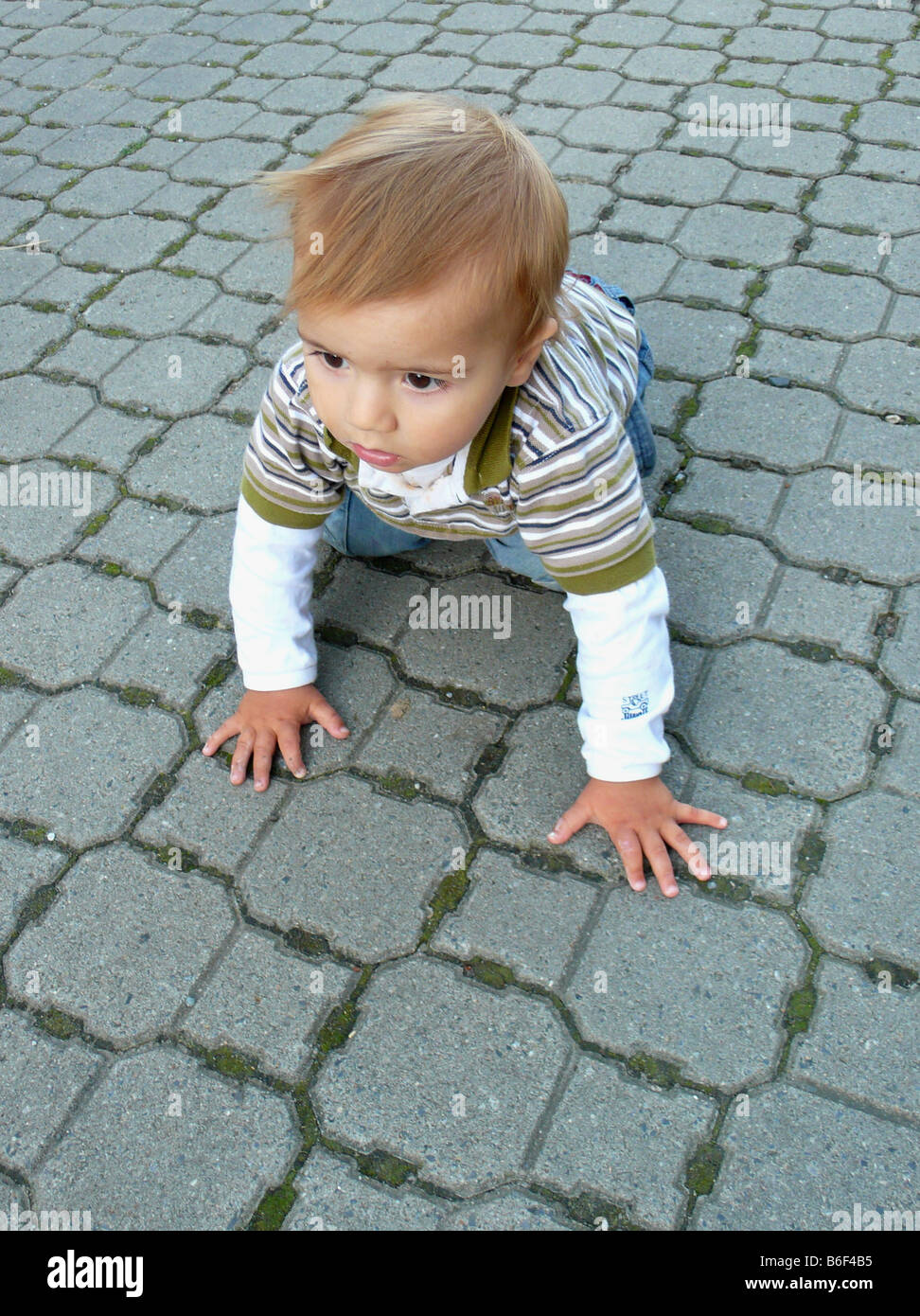 little boy crawling on a pebble stone street Stock Photo - Alamy