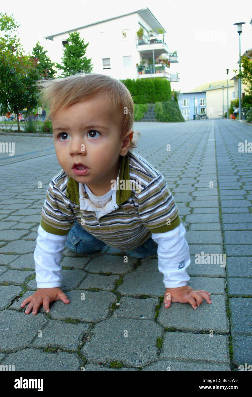 little boy crawling on a pebble stone street Stock Photo - Alamy