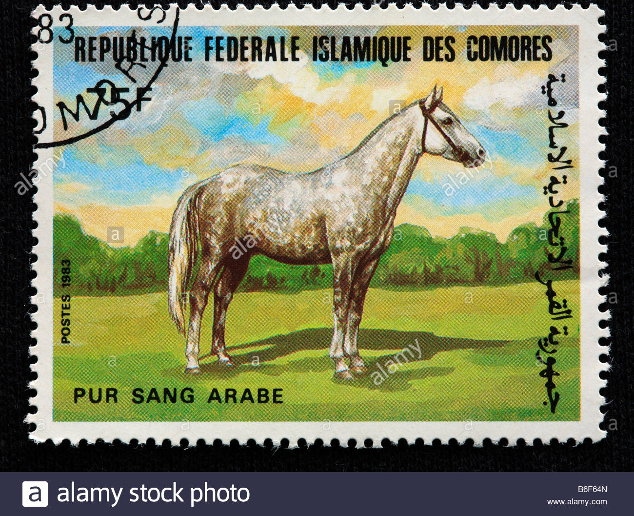 Arab Stamp Stock Photos & Arab Stamp Stock Images - Alamy