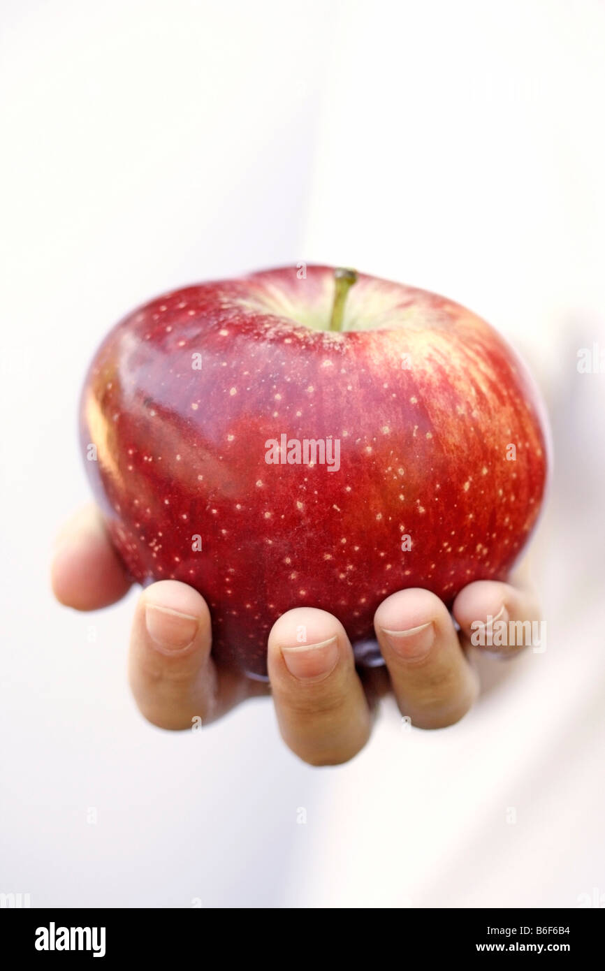 Foods full of fiber hi-res stock photography and images - Alamy