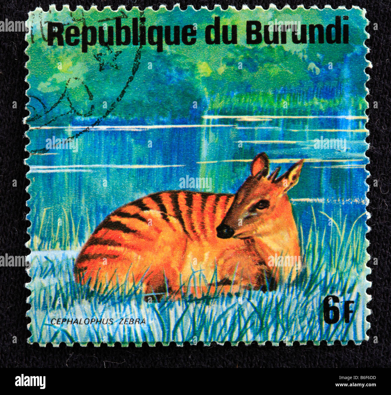 Zebra Duiker (Cephalophus zebra), postage stamp, Republic of Burundi ...
