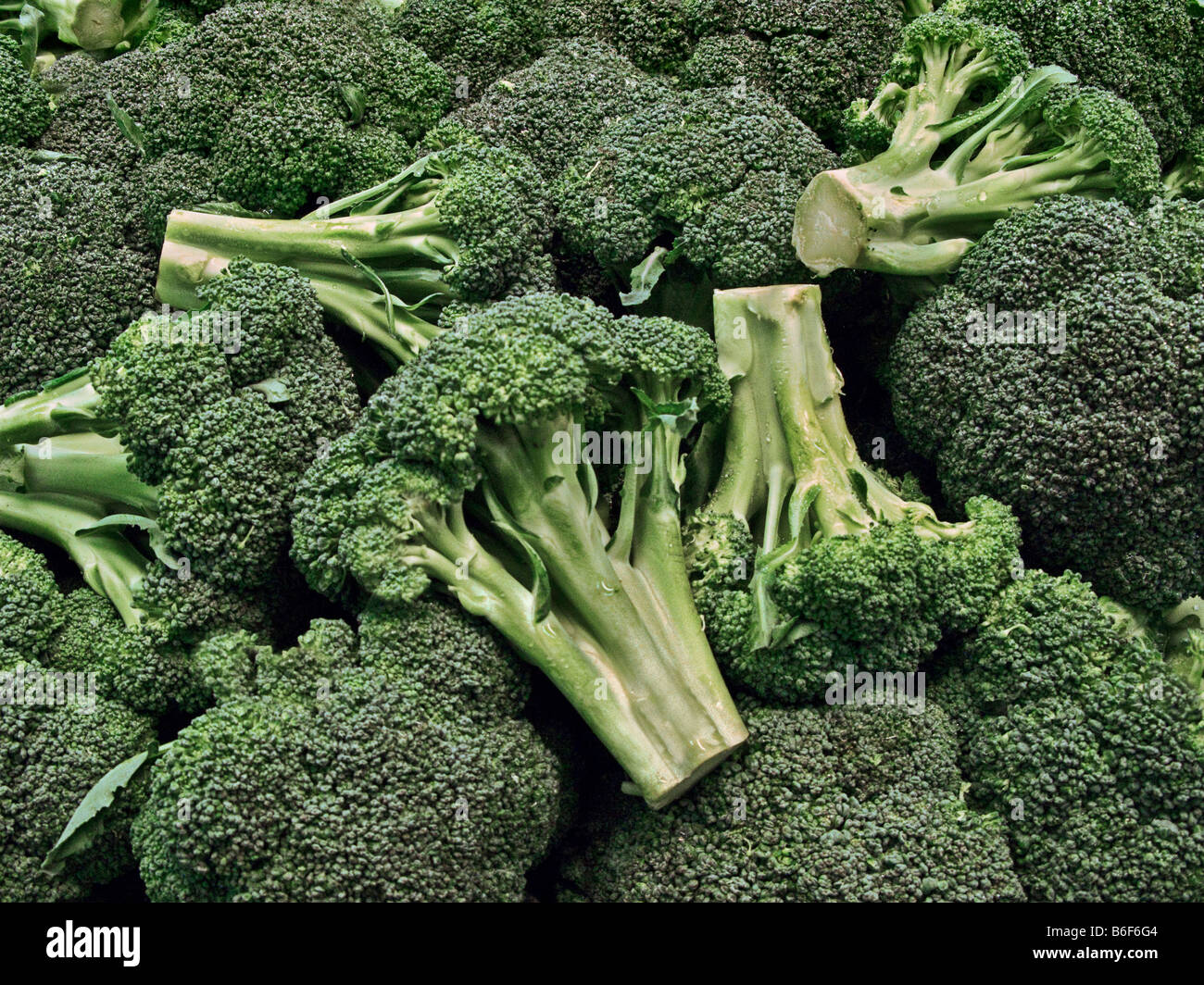 pile of cut broccoli Stock Photo - Alamy