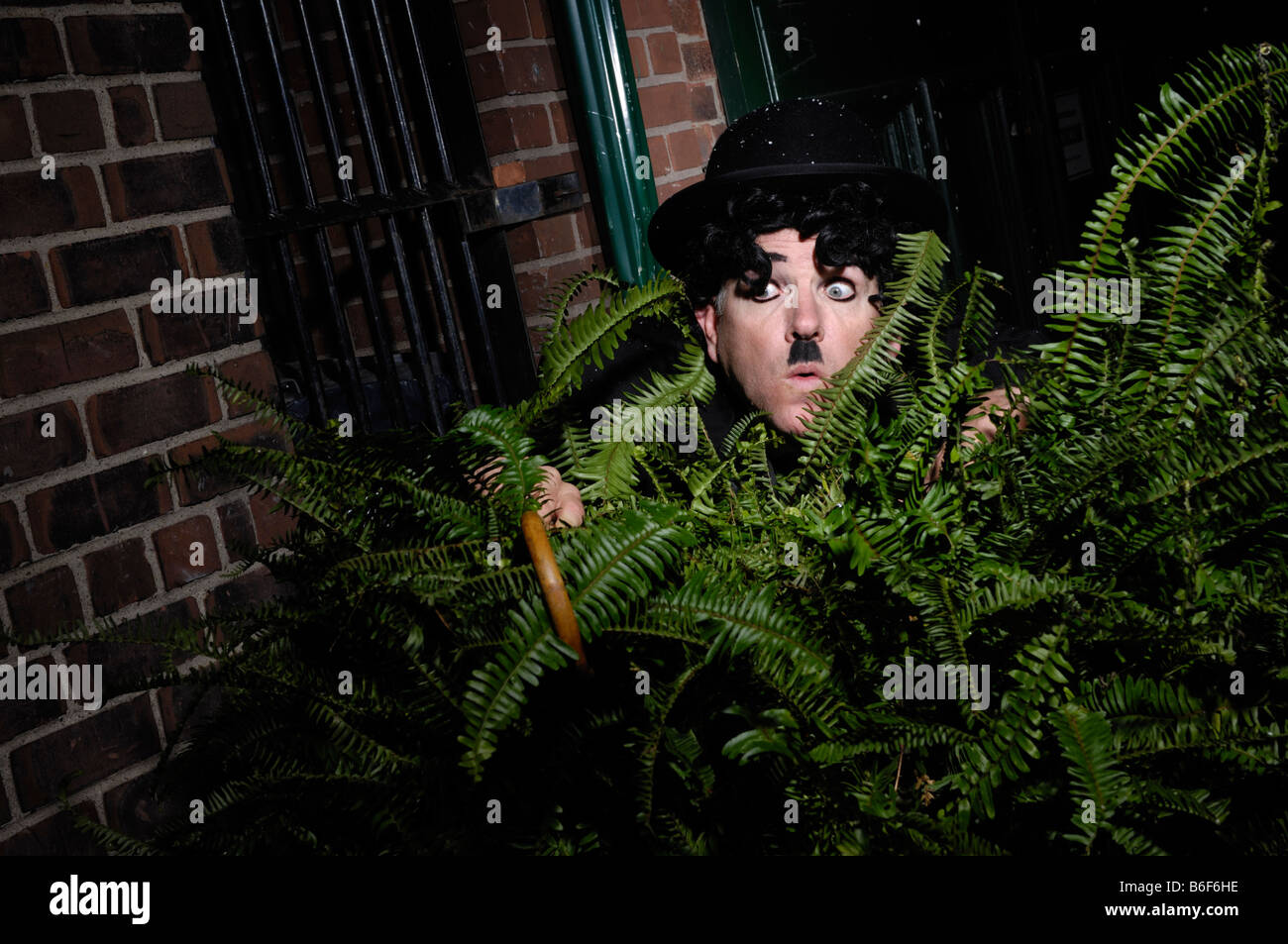 Guy Peeking Over Bushes