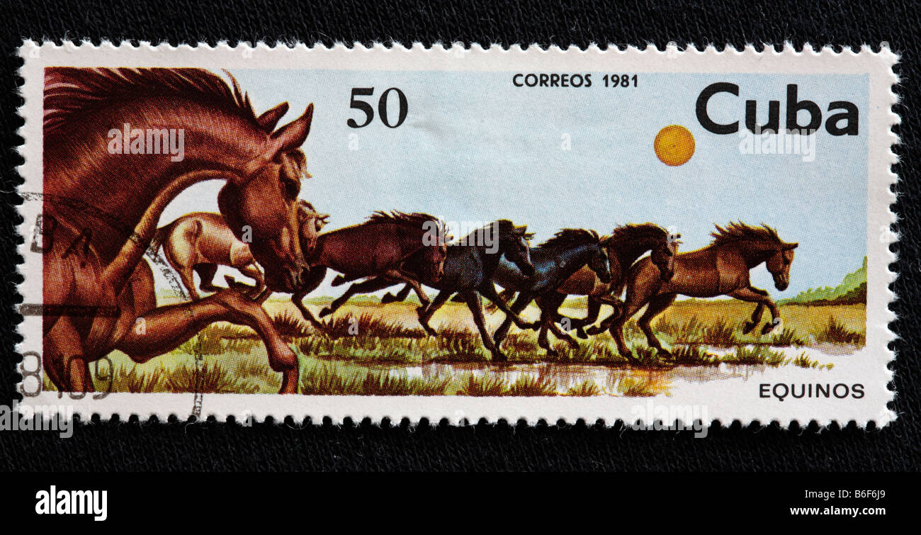 Horses running, postage stamp, Cuba, 1981 Stock Photo - Alamy