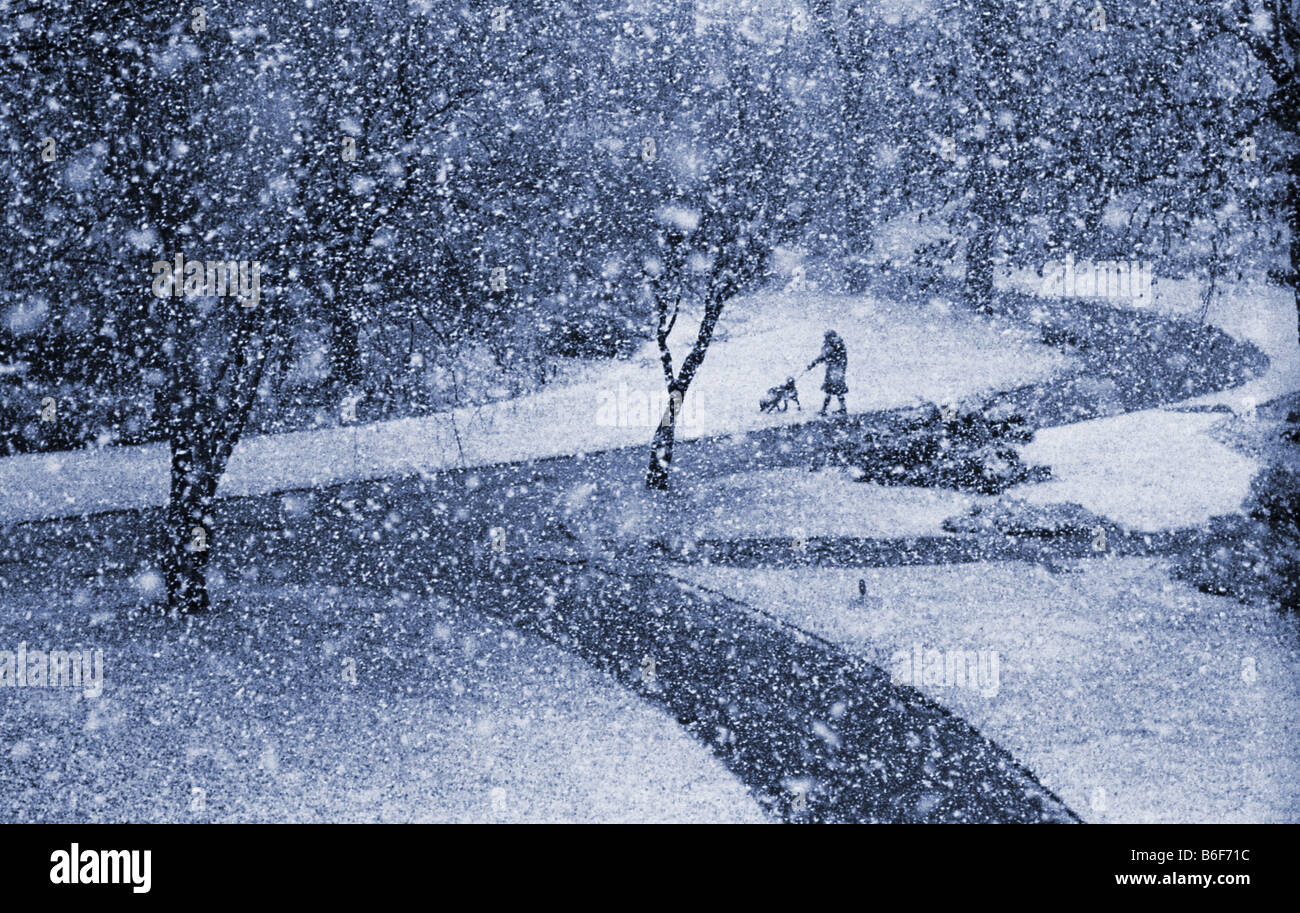 Snowing storm walker hi-res stock photography and images - Alamy