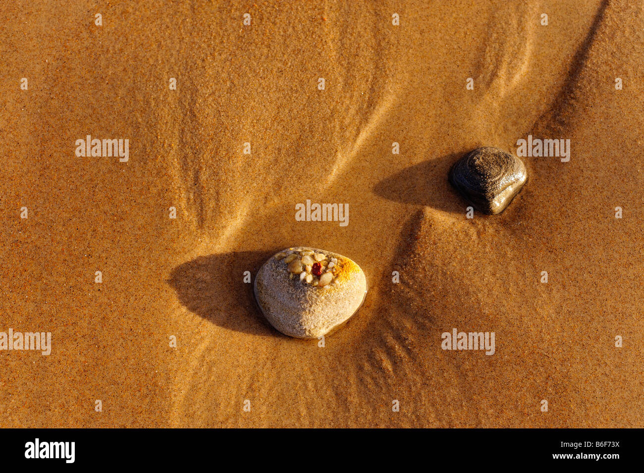 Rocks on sand Stock Photo - Alamy