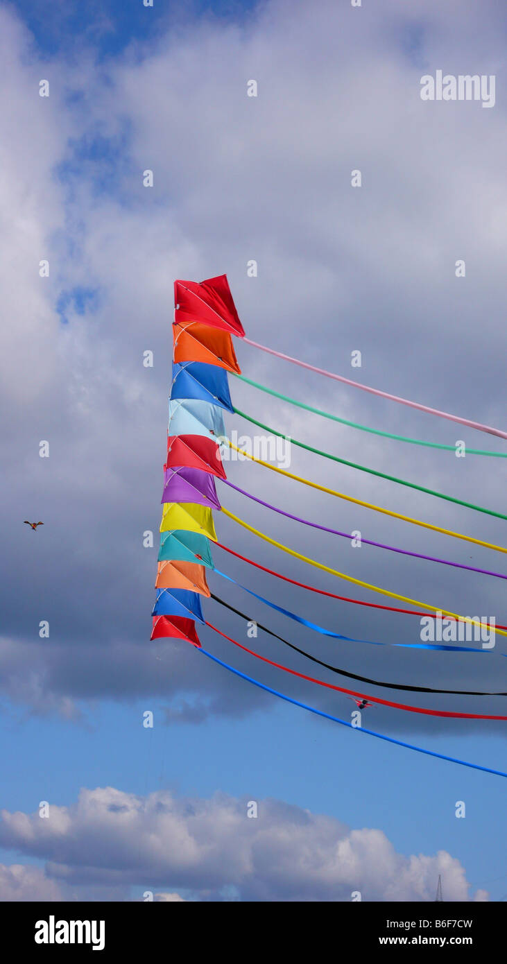 kites, eleven kites on top of each other, Germany Stock Photo - Alamy