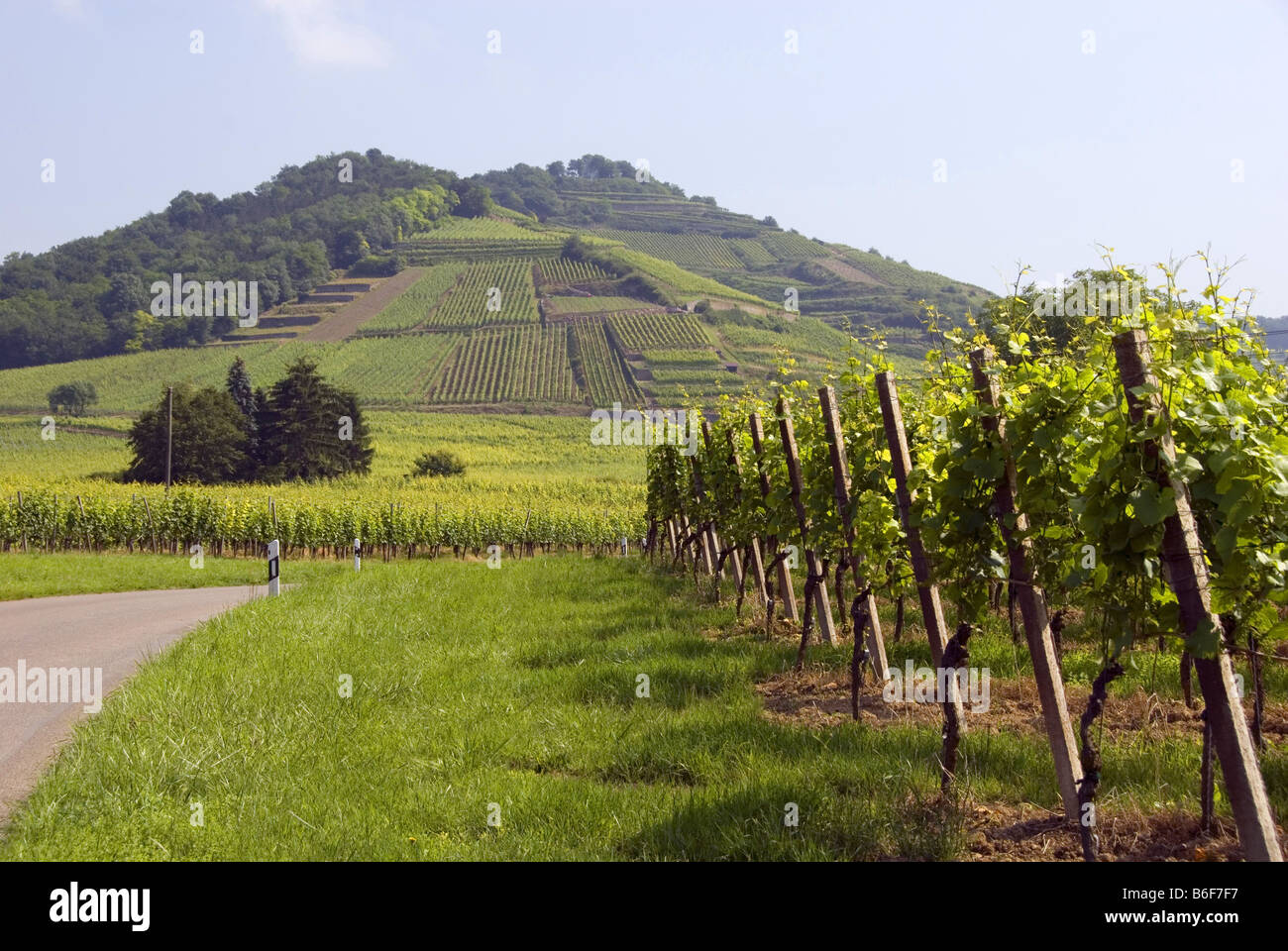 German wine routes hi-res stock photography and images - Alamy