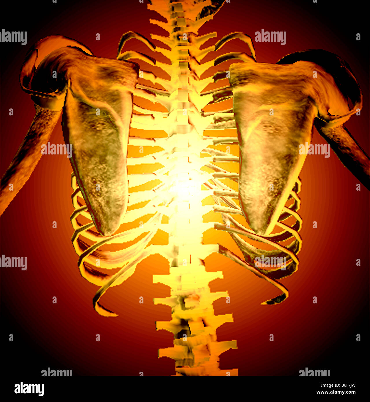 conceptual abstract view of human skeleton Stock Photo - Alamy