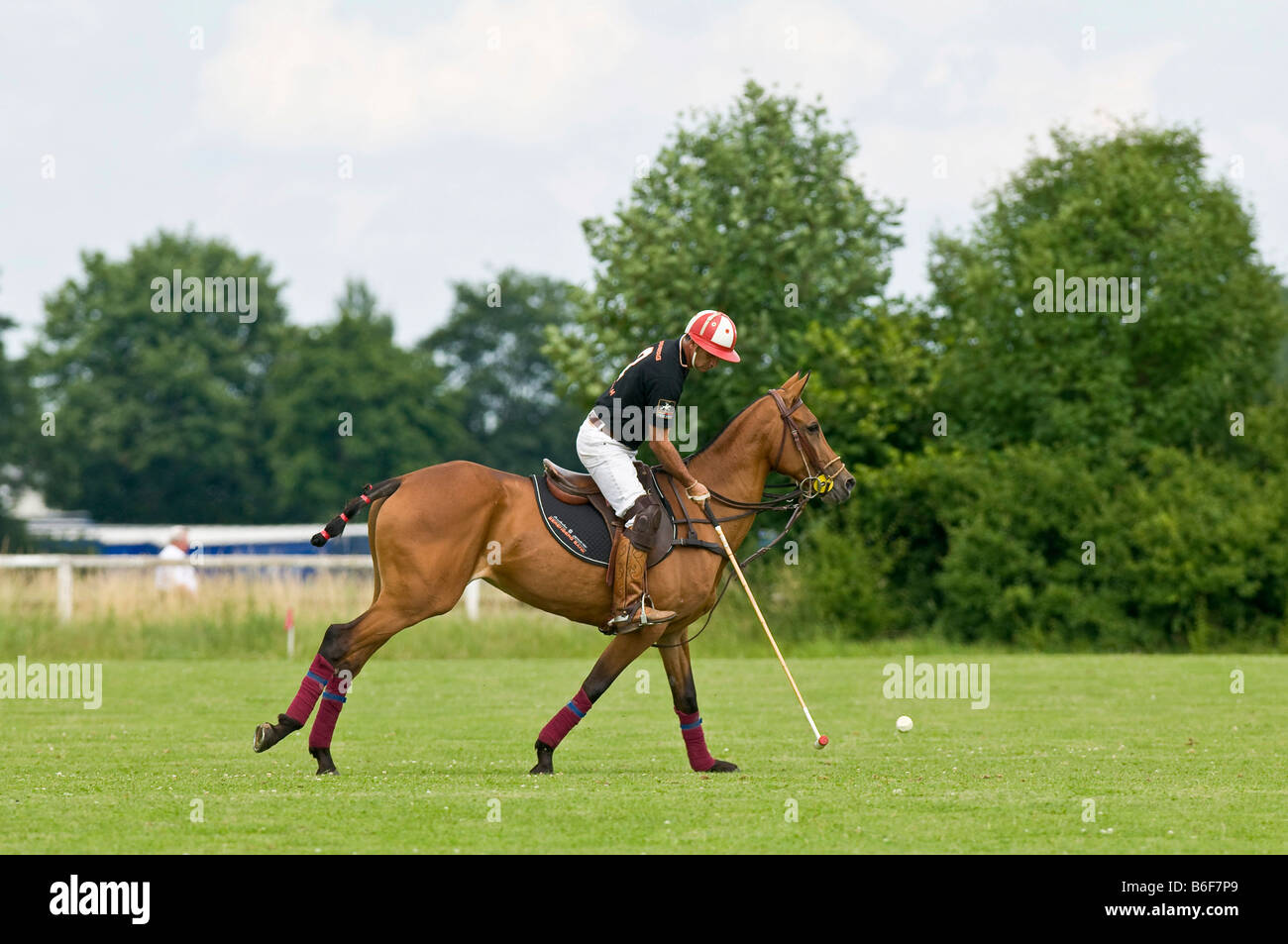 Polo player on his pony after having hit the ball during the Berenberg ...