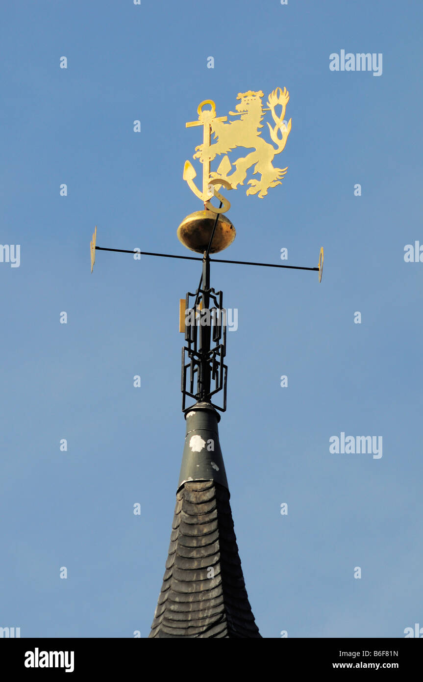Lion weathervane hi-res stock photography and images - Alamy