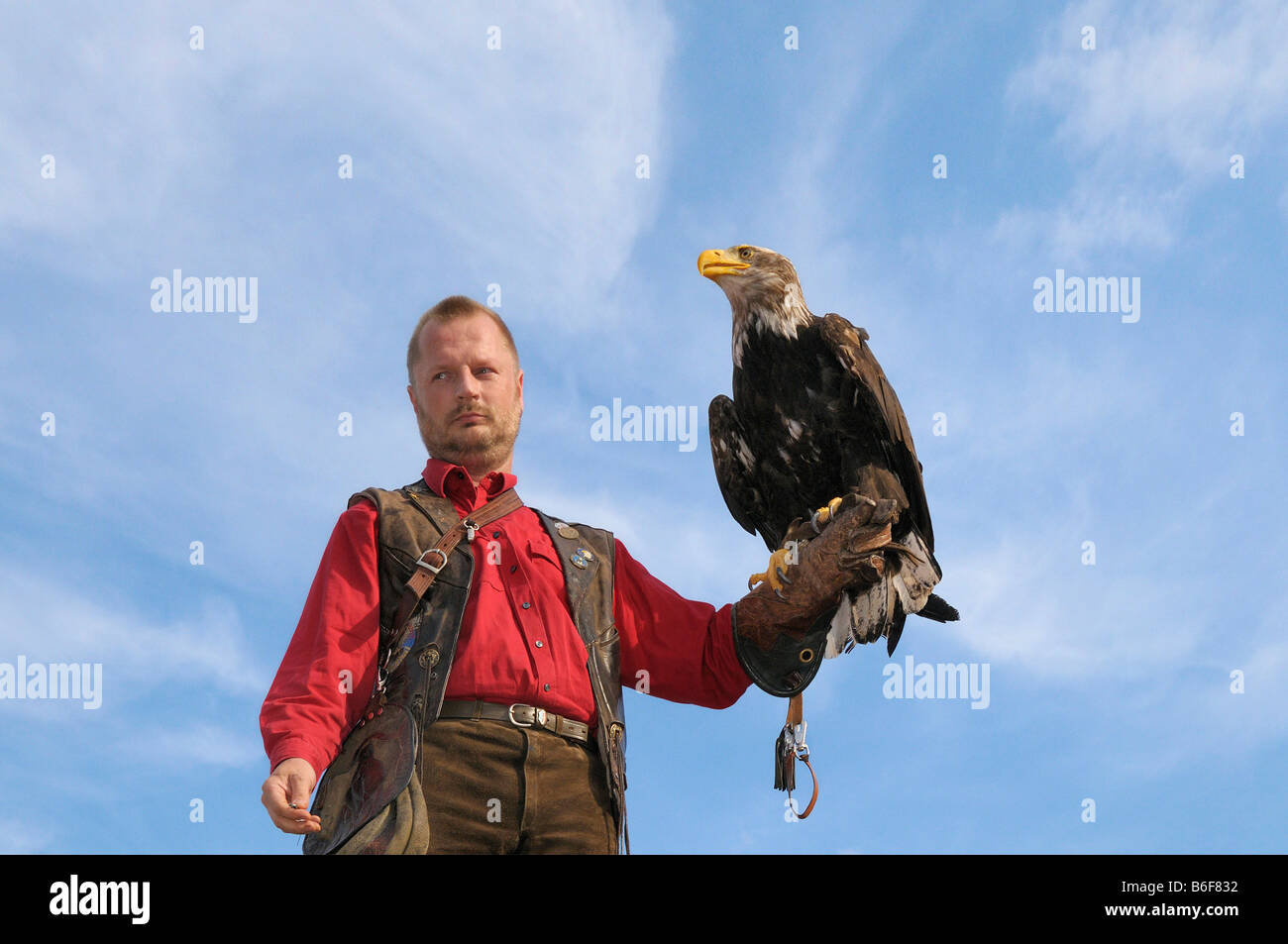 Falconer and his eagle Stock Photo - Alamy