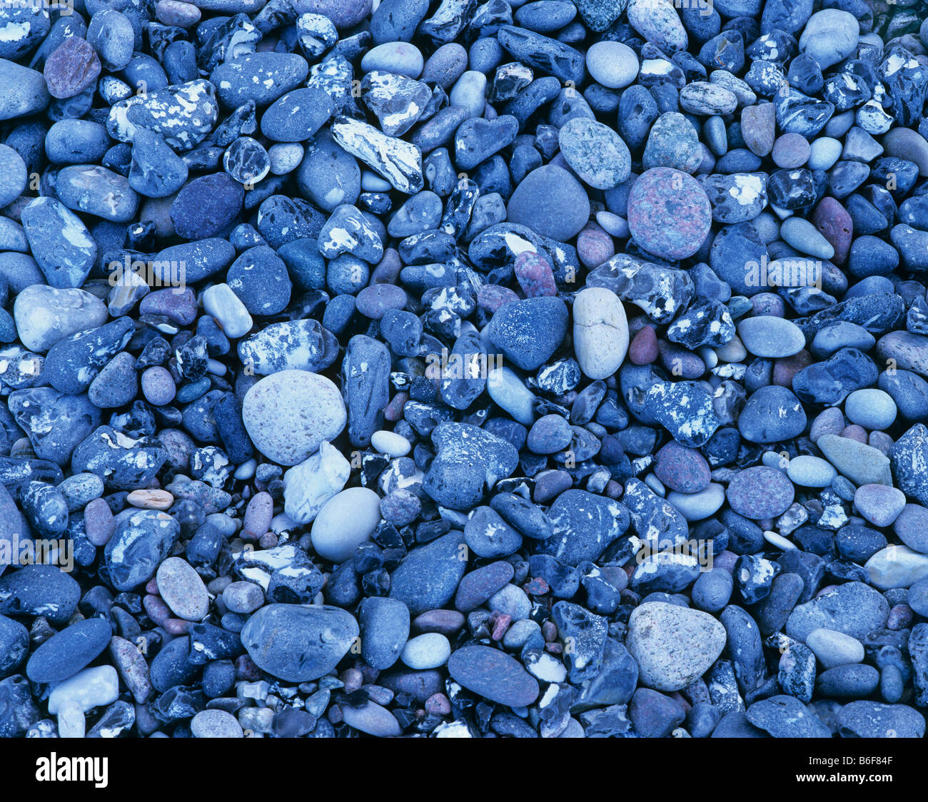 Bluish flint stones and pebbles from the Baltic Sea beach Stock Photo ...