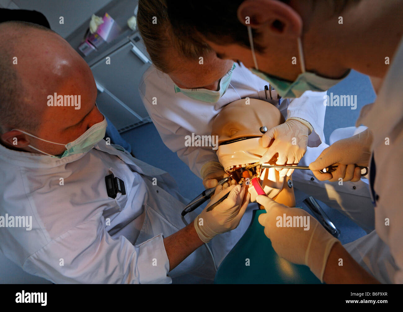 Students practice the extraction of a wisdom tooth on a dummy at the ...