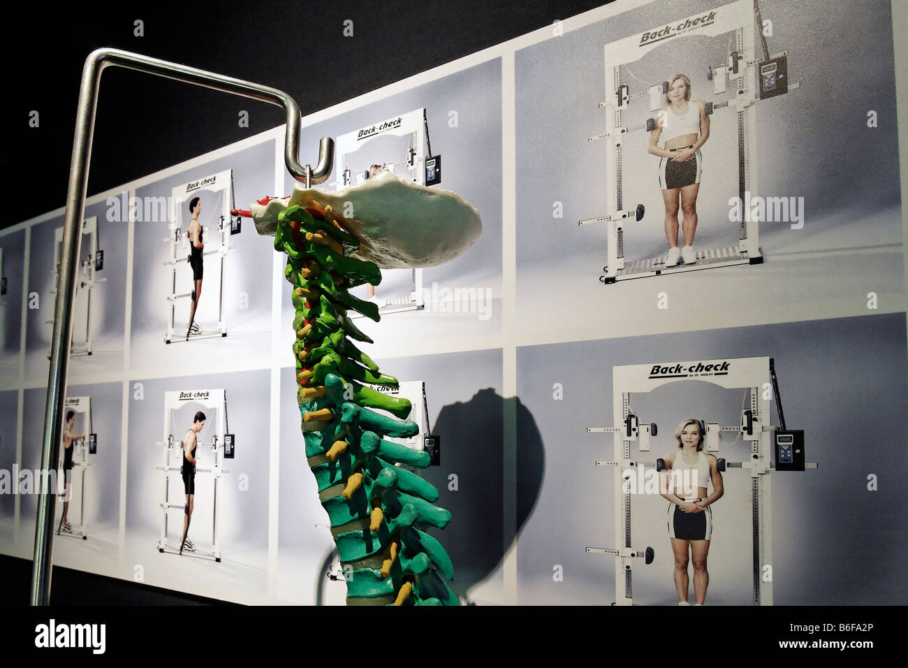 Model of a spinal column in front of posters recommending a Back Check ...