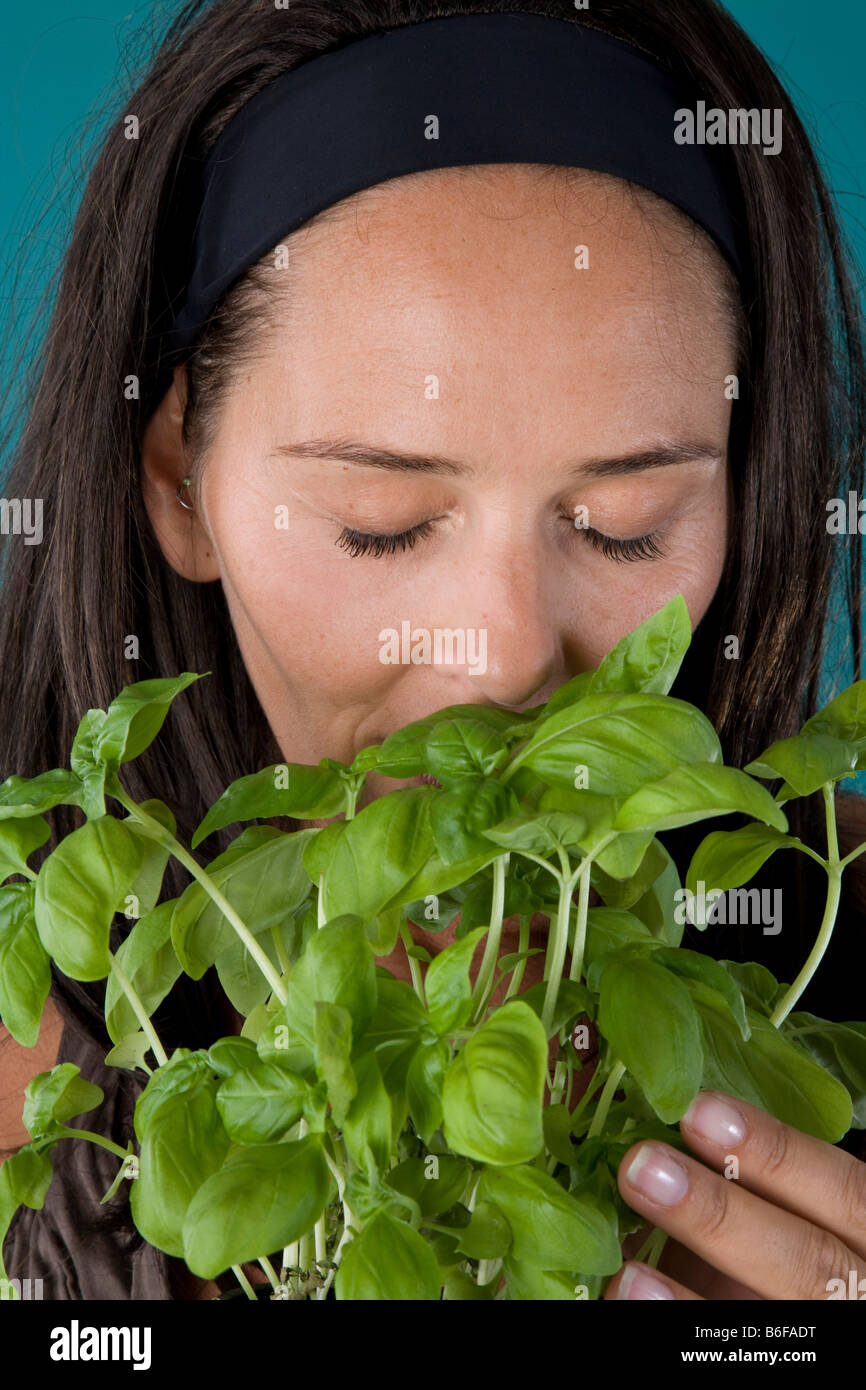 Ocimum basilicum plant woman hi-res stock photography and images - Alamy
