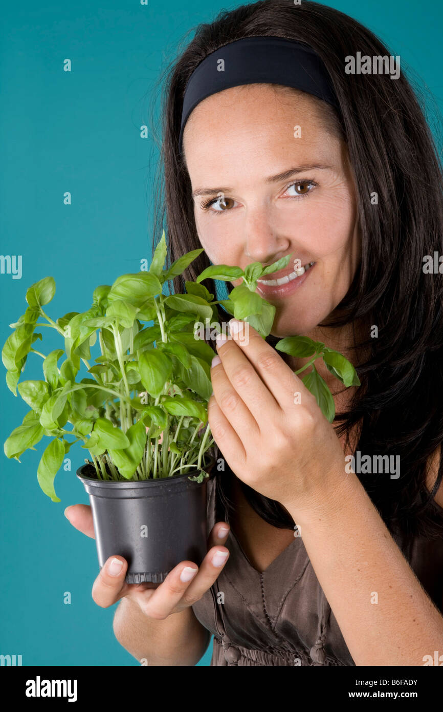 Girl smelling basil Stock Photo - Alamy