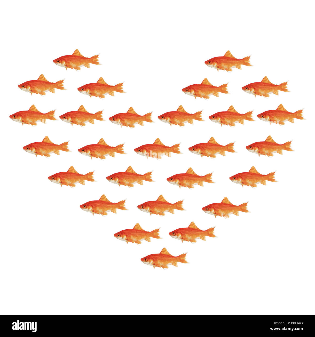 Fishes hearts High Resolution Stock Photography and Images - Alamy