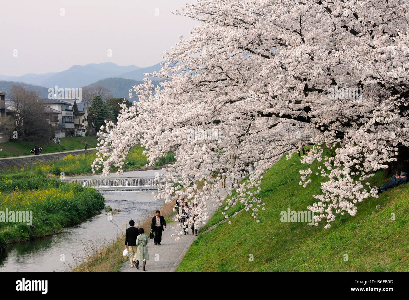 Japanese riversides hi-res stock photography and images - Alamy