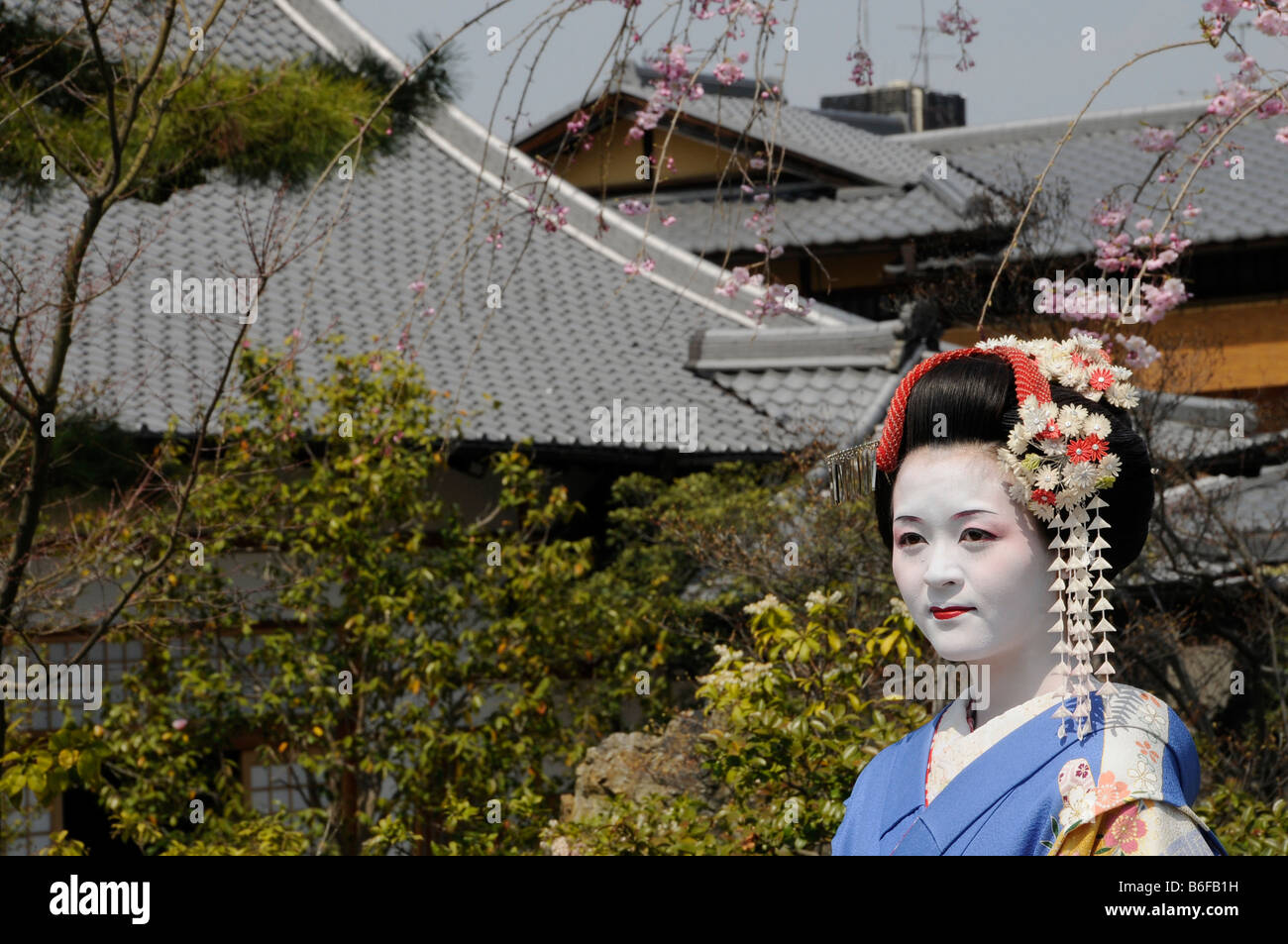 A Maiko, a trainee Geisha, in front of a Japanese Garden in Kyoto ...