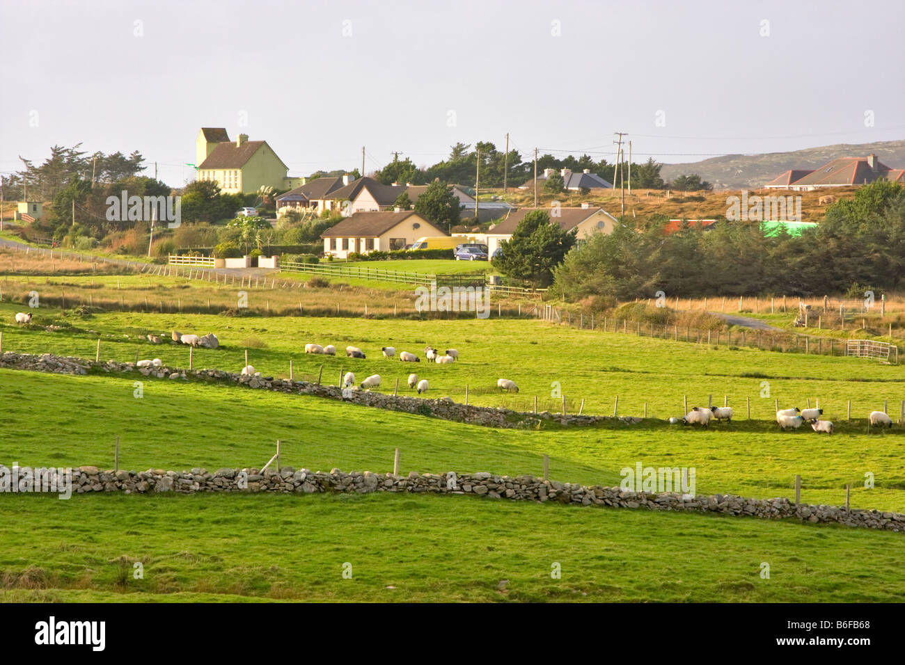Green fields of ireland hi-res stock photography and images - Alamy