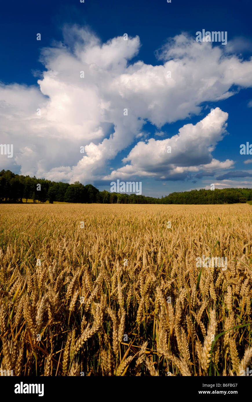 Cumulus cloud forms hi-res stock photography and images - Alamy