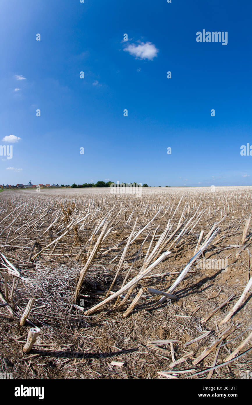 Stubble field fields hi-res stock photography and images - Alamy