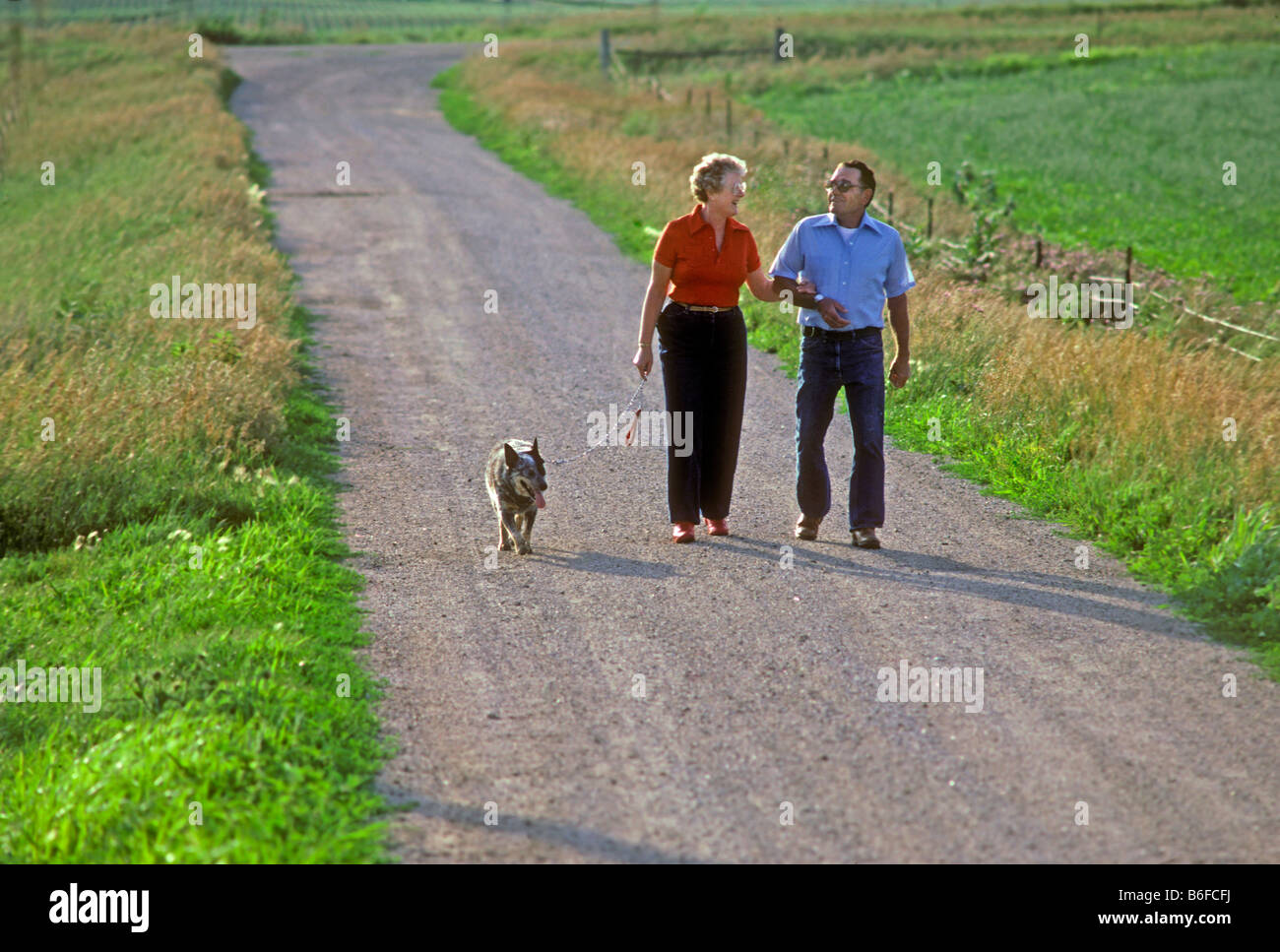couple walking farm rural with dog interacting enjoyment relax sunset ...