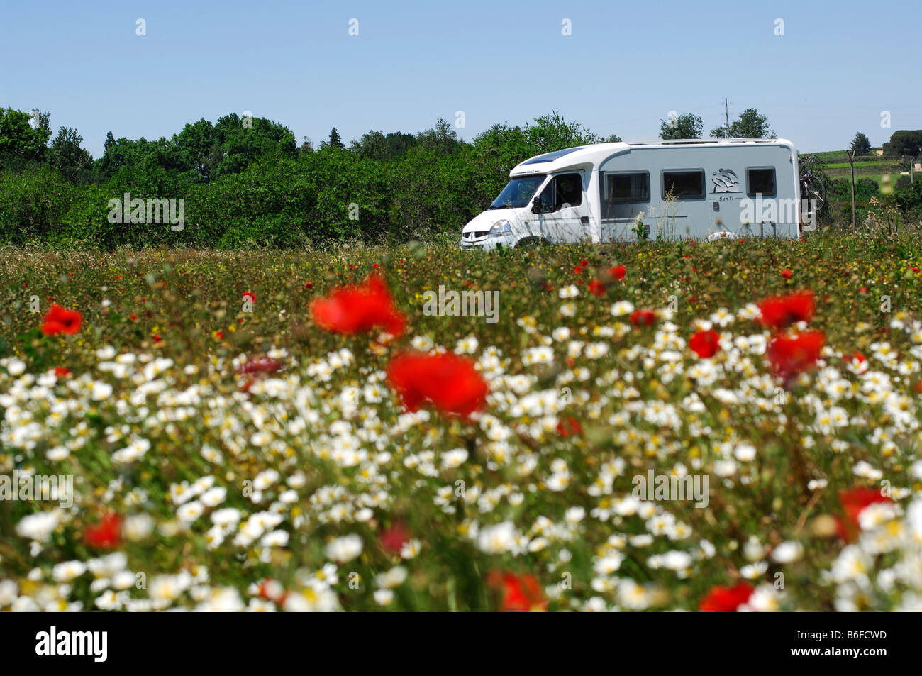 Field of flowers in front of a caravan, Provence, France, Europe Stock ...