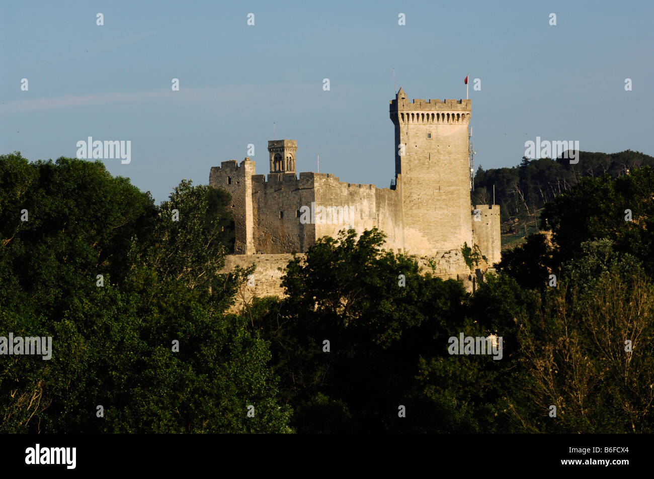 Chateau du Roi Rene Castle, Tarascon, Provence, France, Europe Stock ...