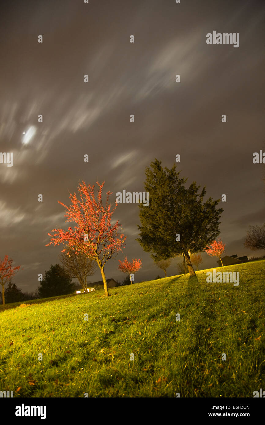 Fearful states hi-res stock photography and images - Alamy