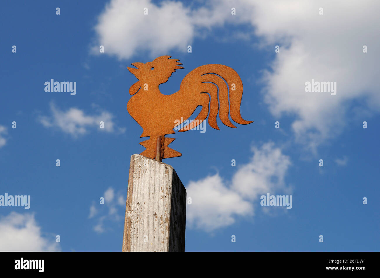Rooster shaped sign, "Holiday on the Farm" sign, Chiemgau, Bavaria ...