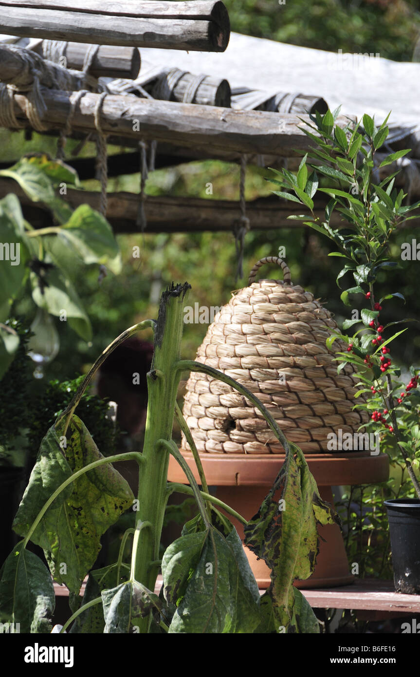 Beehive pot hi-res stock photography and images - Alamy