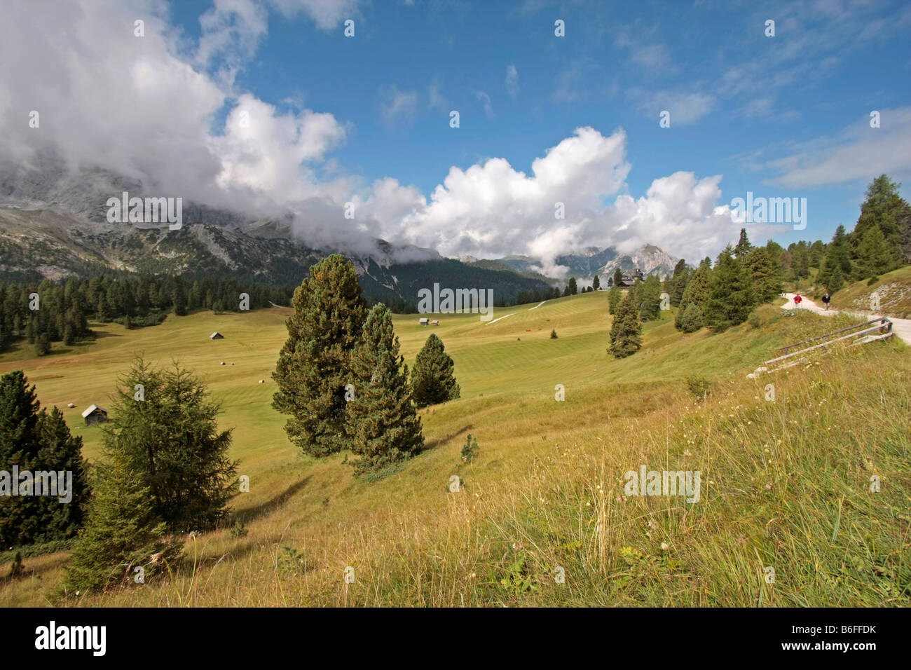 Prato Piazza, a high plateau in the Dolomites in the Fanes-Senes-Prags ...