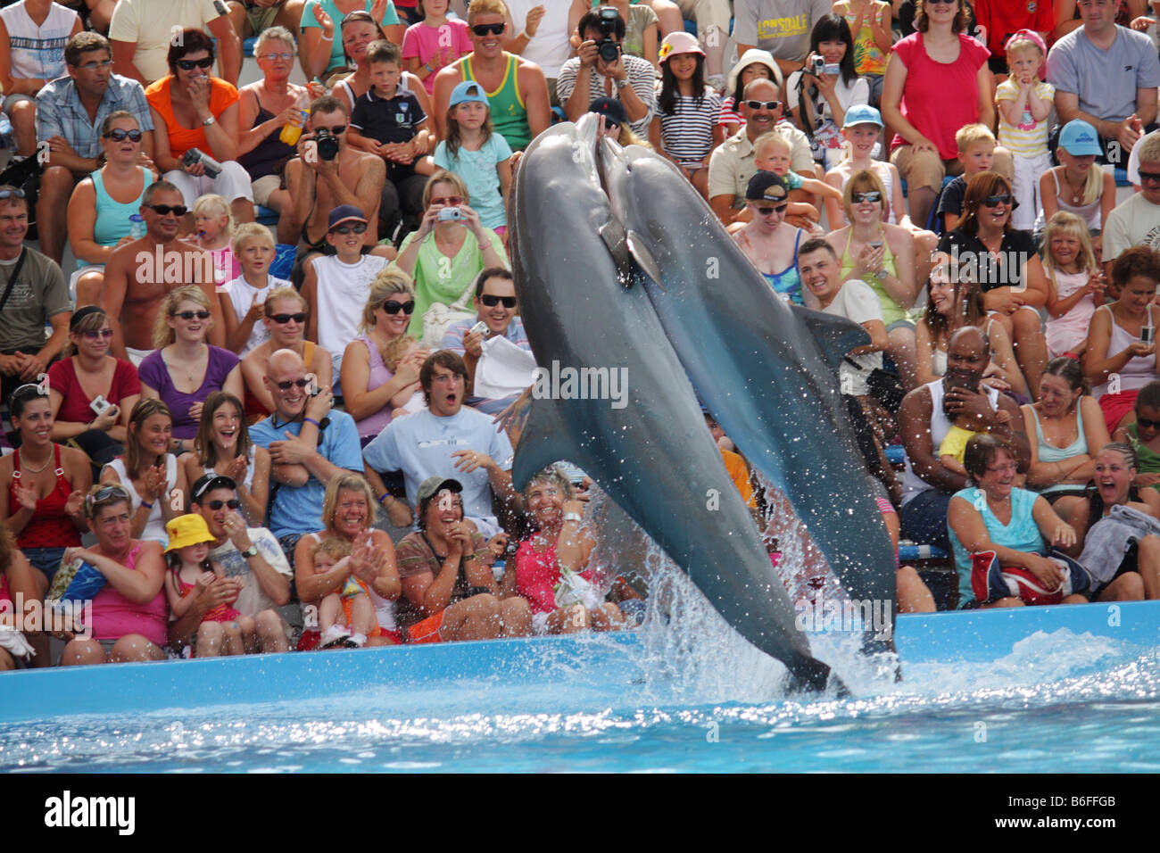 Delfin human hi-res stock photography and images - Alamy