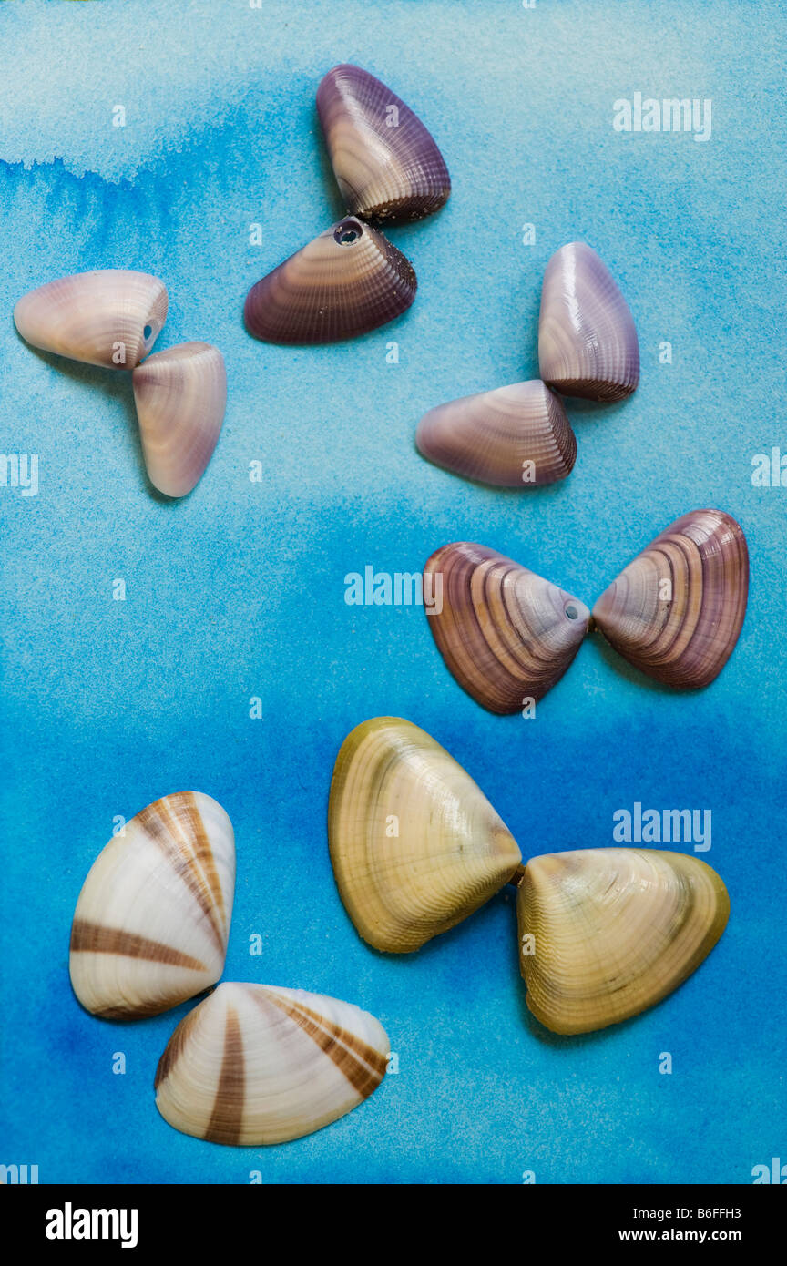 Pale blue watercolour hi-res stock photography and images - Alamy