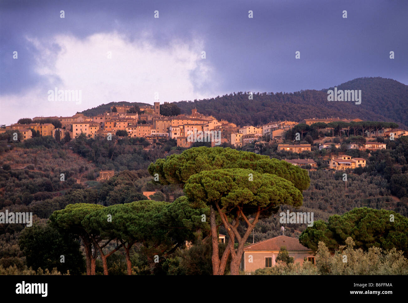 Castagneto Carducci, Livorno province, Tuscany, Italy, Europe Stock ...