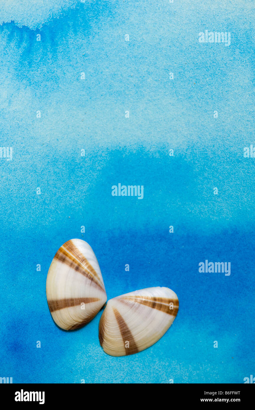 Pale blue watercolour hi-res stock photography and images - Alamy