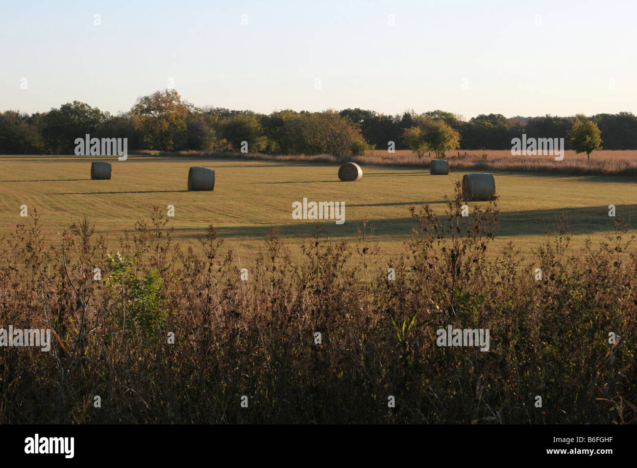 Hayfield hi-res stock photography and images - Alamy