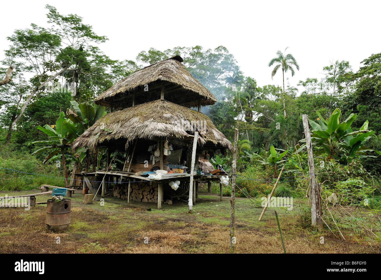 House of a forest settlement on the Rio Napo river near the city of El ...