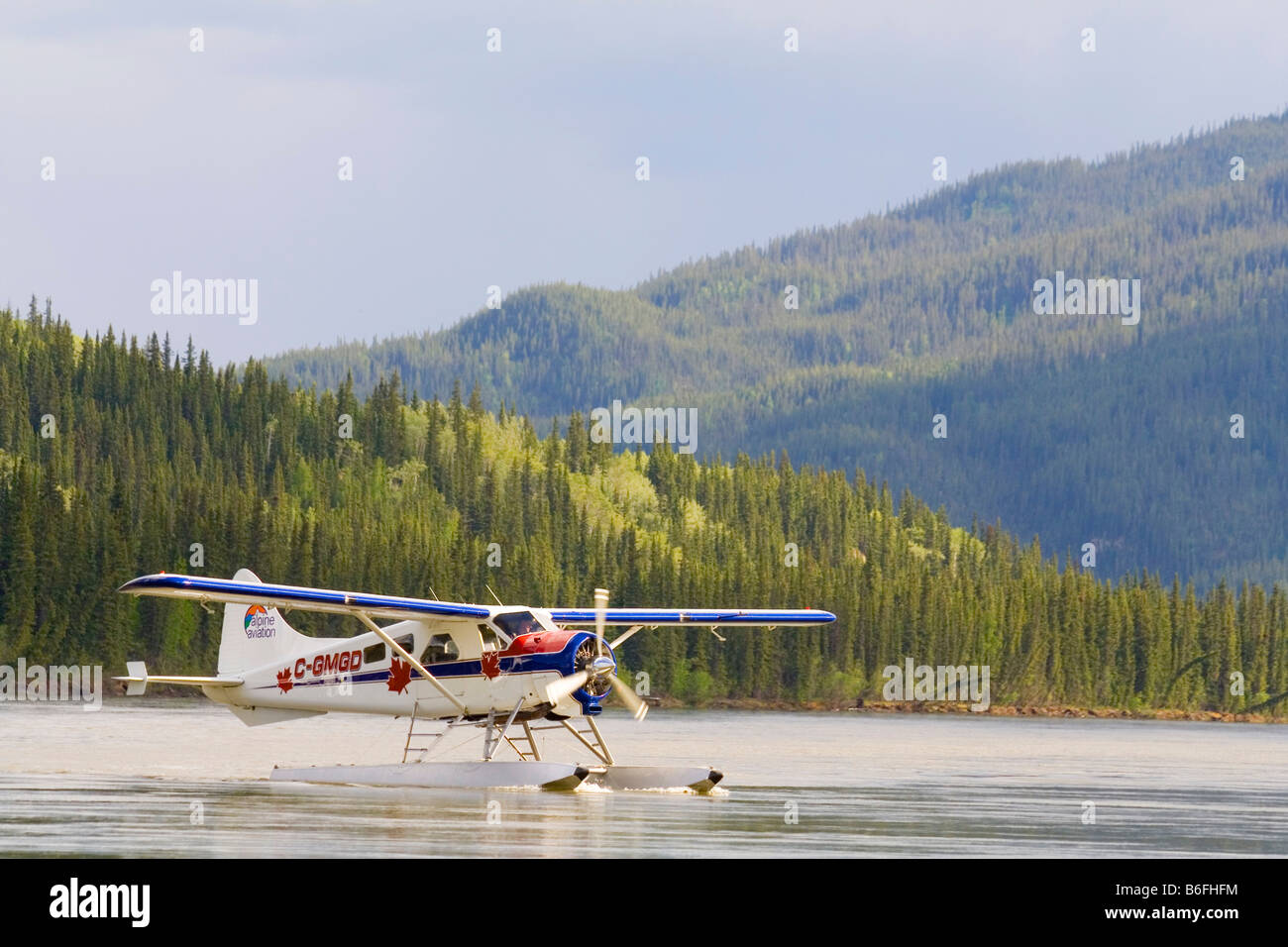 Taxiing, legendary de Havilland Canada DHC-2 Beaver, float plane, bush ...