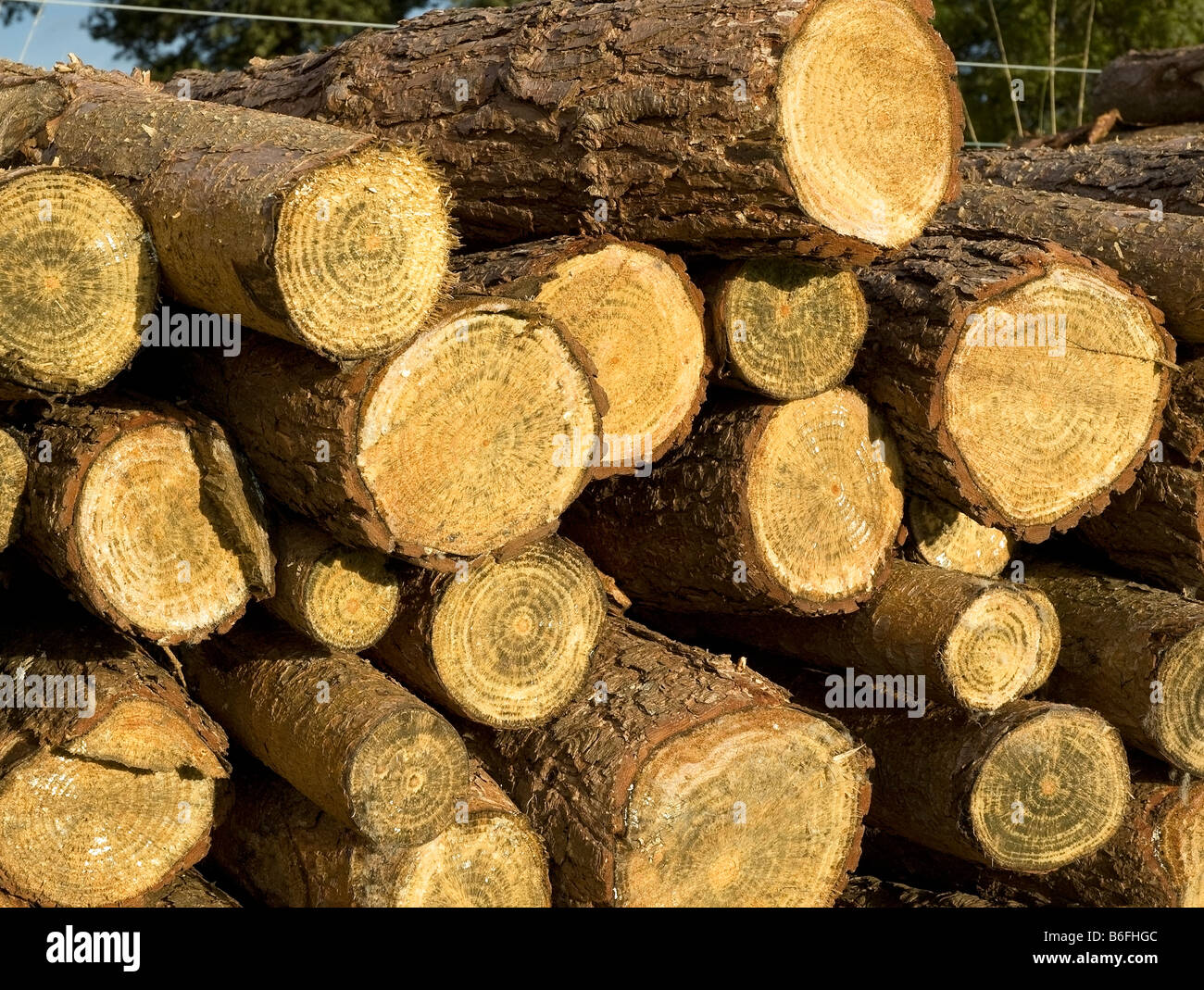 stacked wood logs, exterior Stock Photo - Alamy