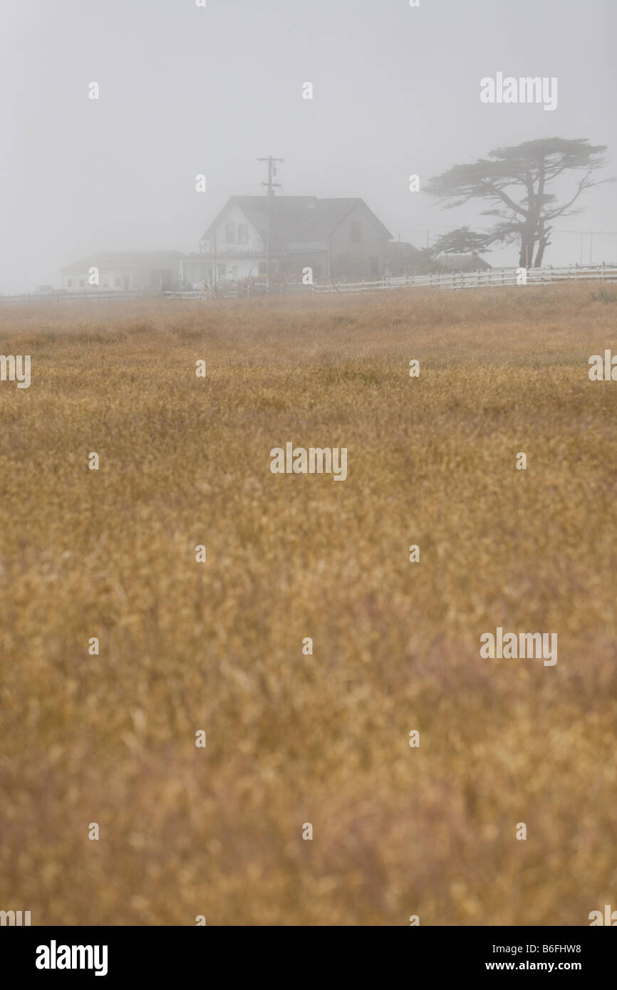 House in the mist Stock Photo - Alamy