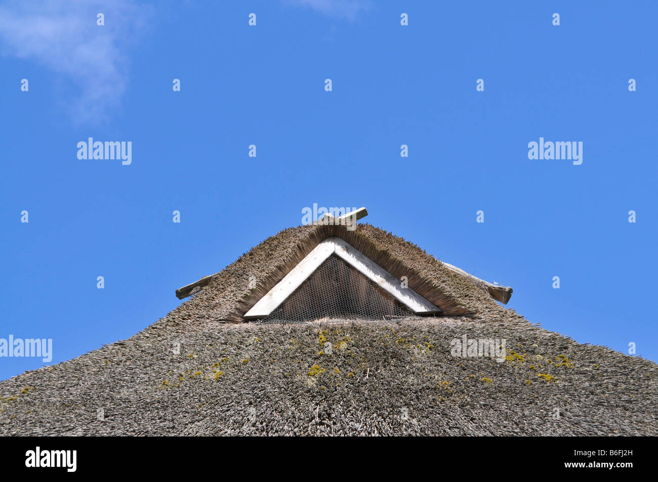 Thatching detail hi-res stock photography and images - Alamy