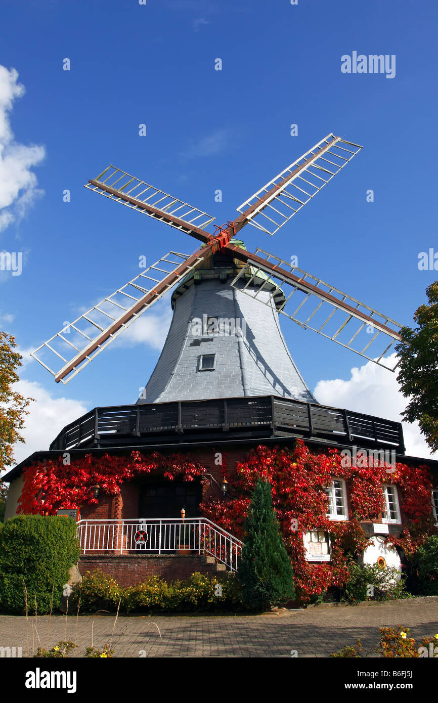 Historic windmill in dutch style, Pirsch Mill, Hamfeld Mill, restaurant ...