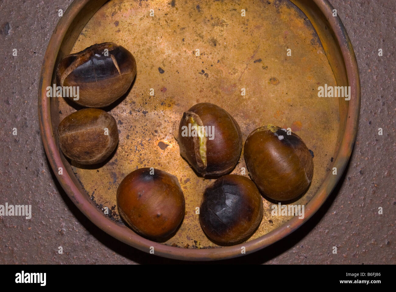 Close up burnt chestnut hi-res stock photography and images - Alamy