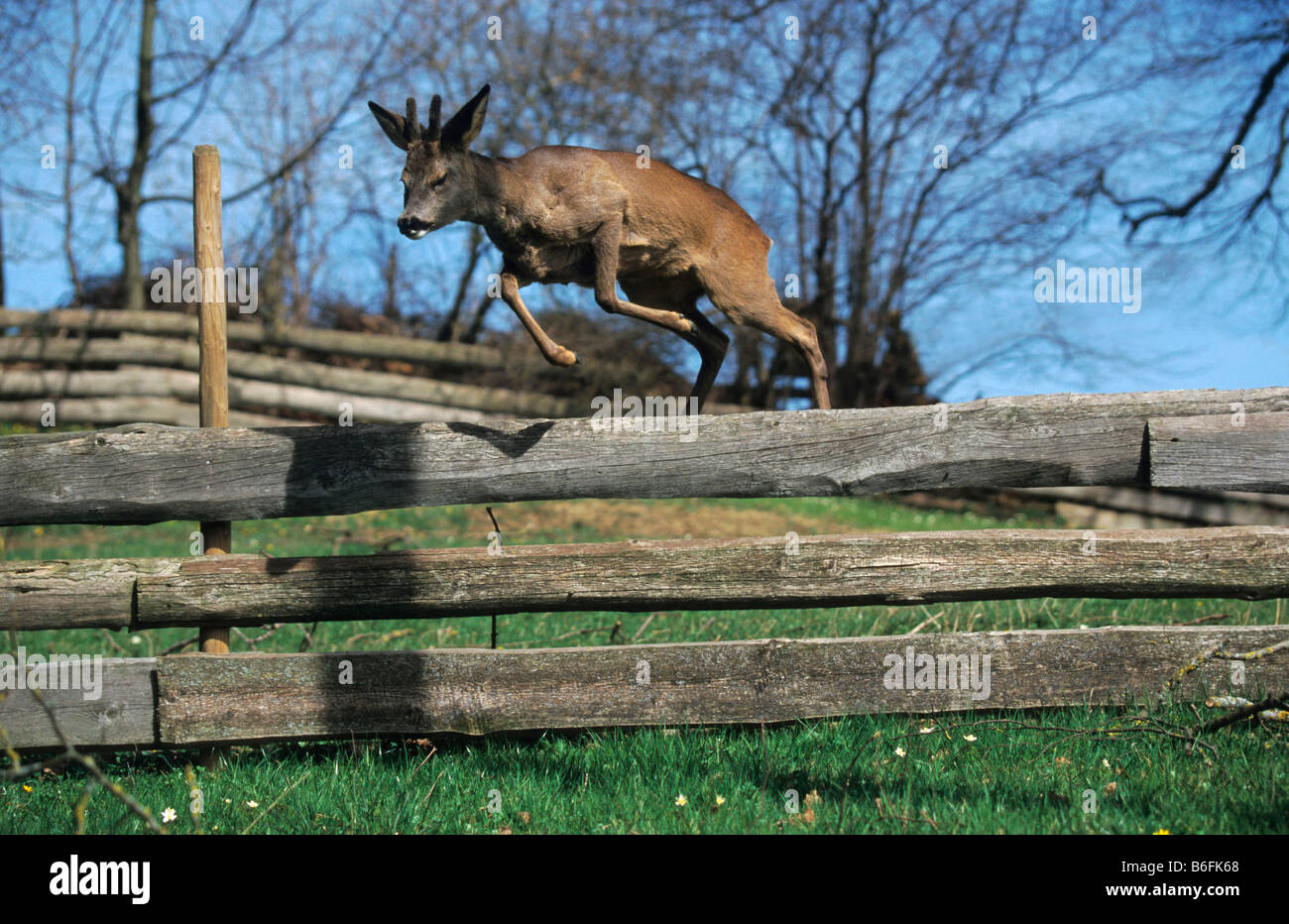 Jumping gate hi-res stock photography and images - Alamy