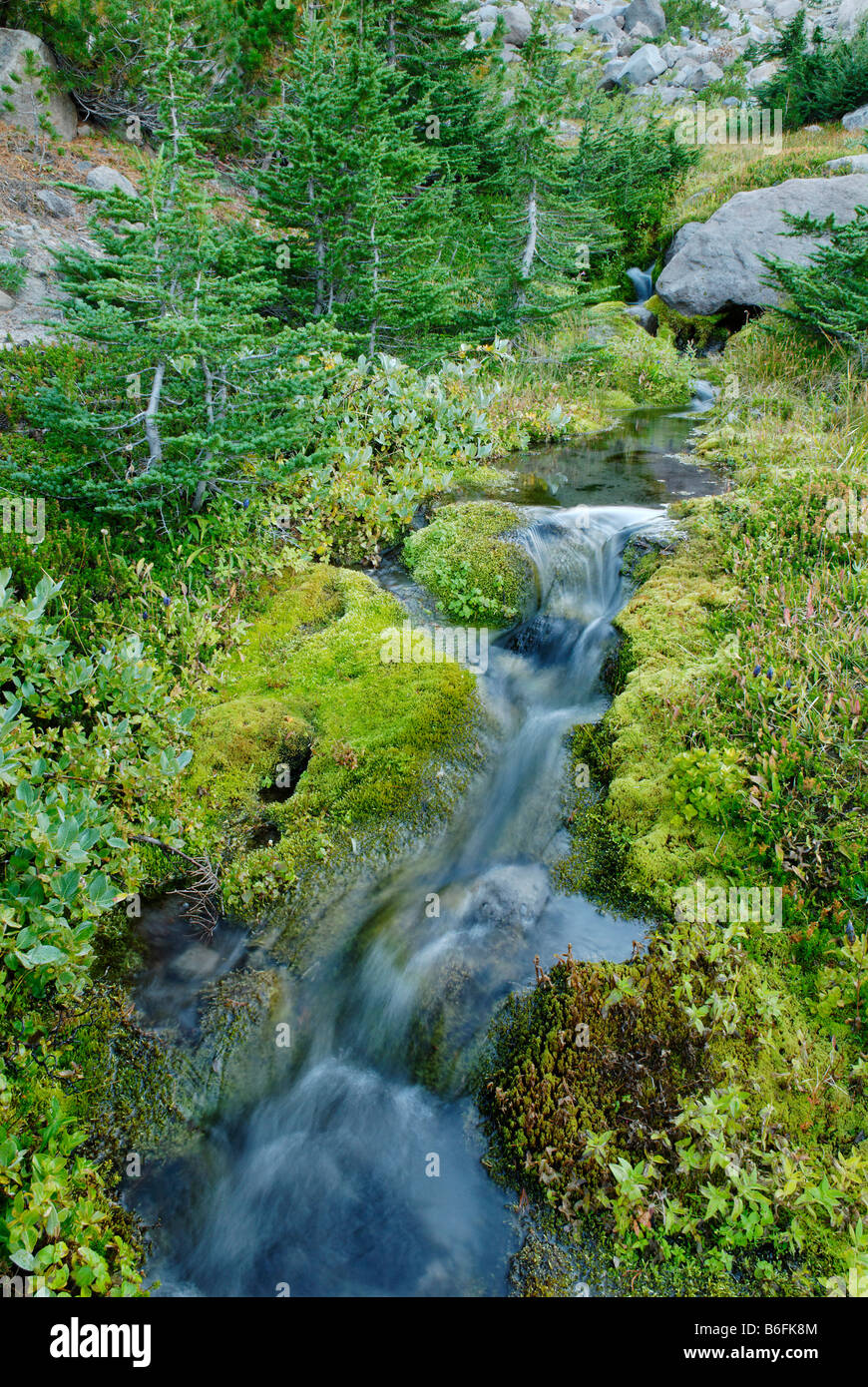 Mountain stream on the eastern flank of Mount Hood volcano, Cascade ...