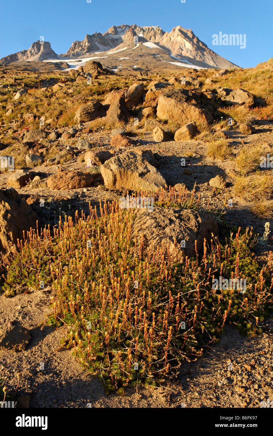 Southern flank of Mount Hood volcano, Cascade Range, Oregon, USA Stock ...